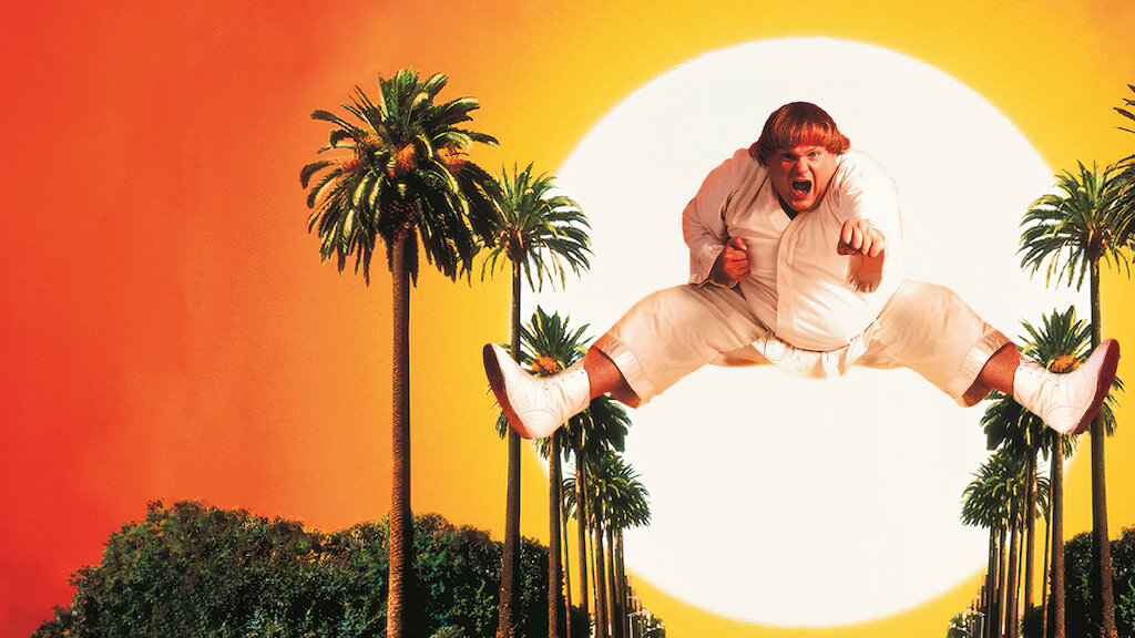Beverly Hills Ninja Cast